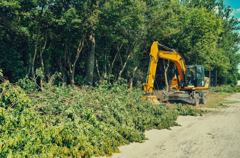 Professional Vegetation Removal for Clearer Land